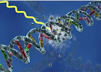 Servicios - Labodiagen